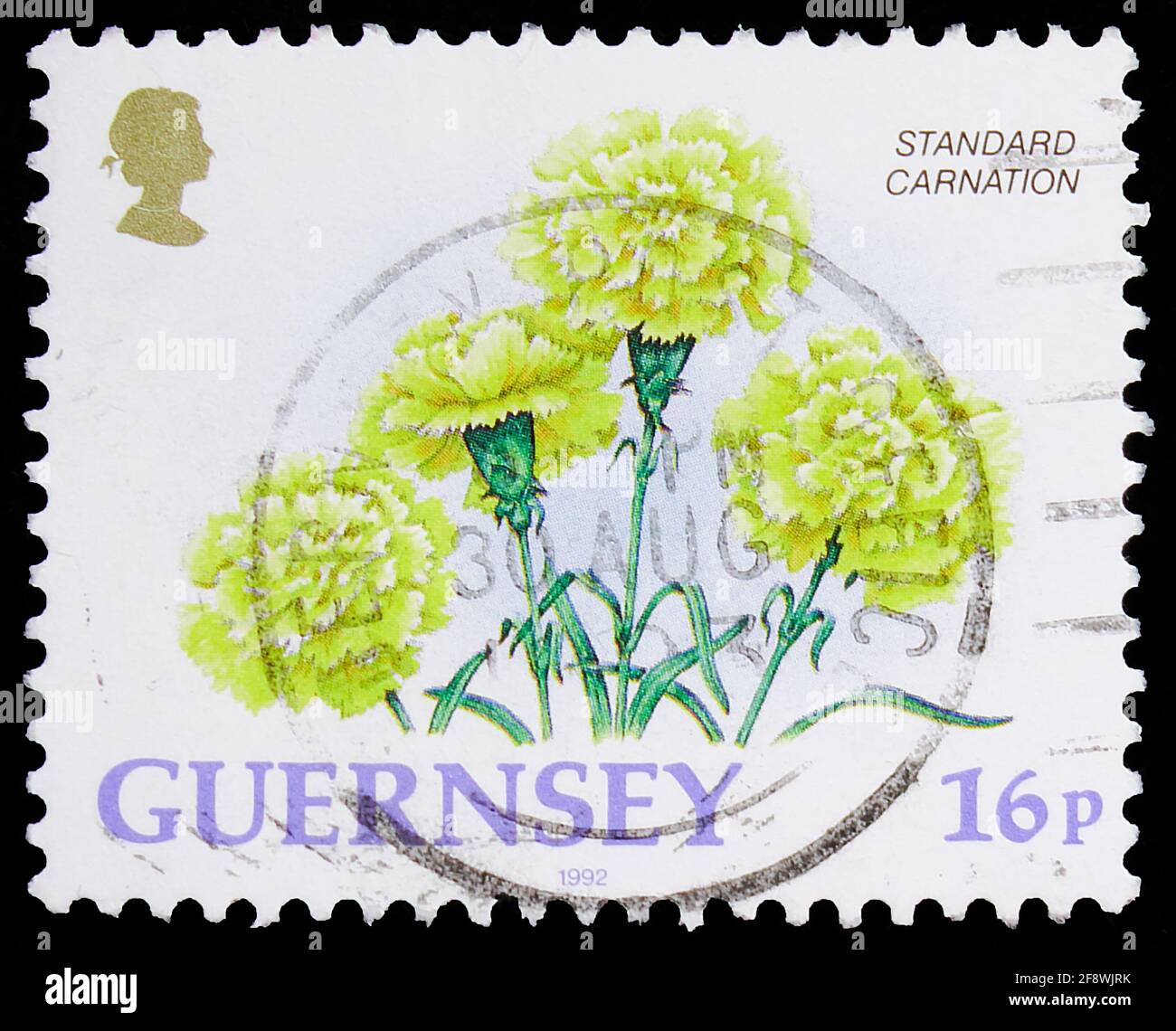 Standard carnation hi-res stock photography and images - Alamy