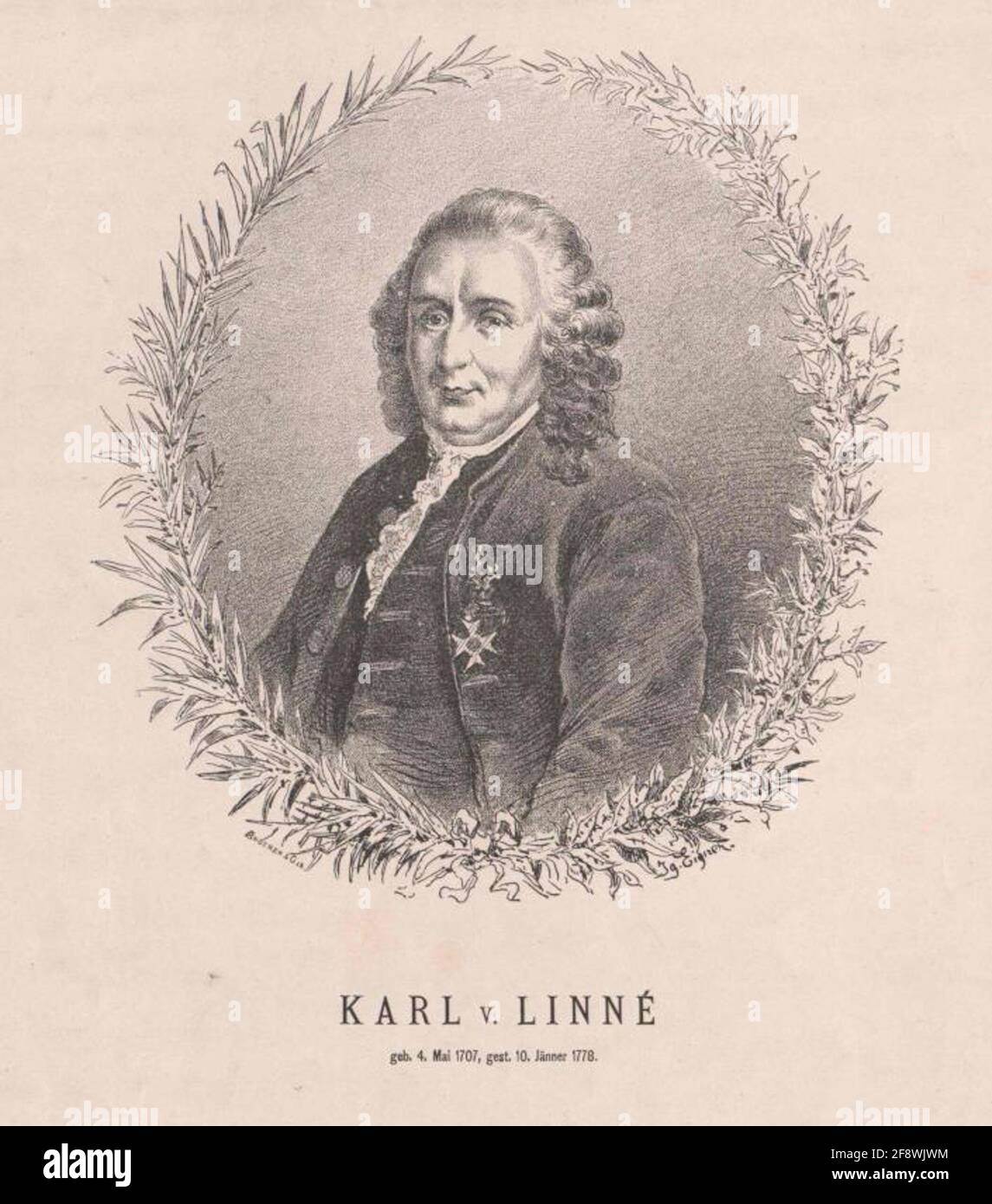 Charles linne hi-res stock photography and images - Alamy