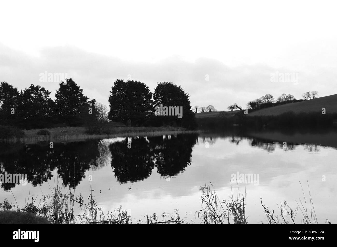 County down countryside Black and White Stock Photos & Images - Alamy