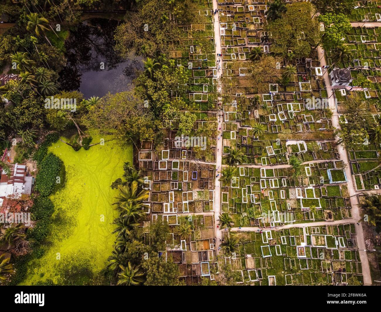Mosque of barisal hi-res stock photography and images - Alamy