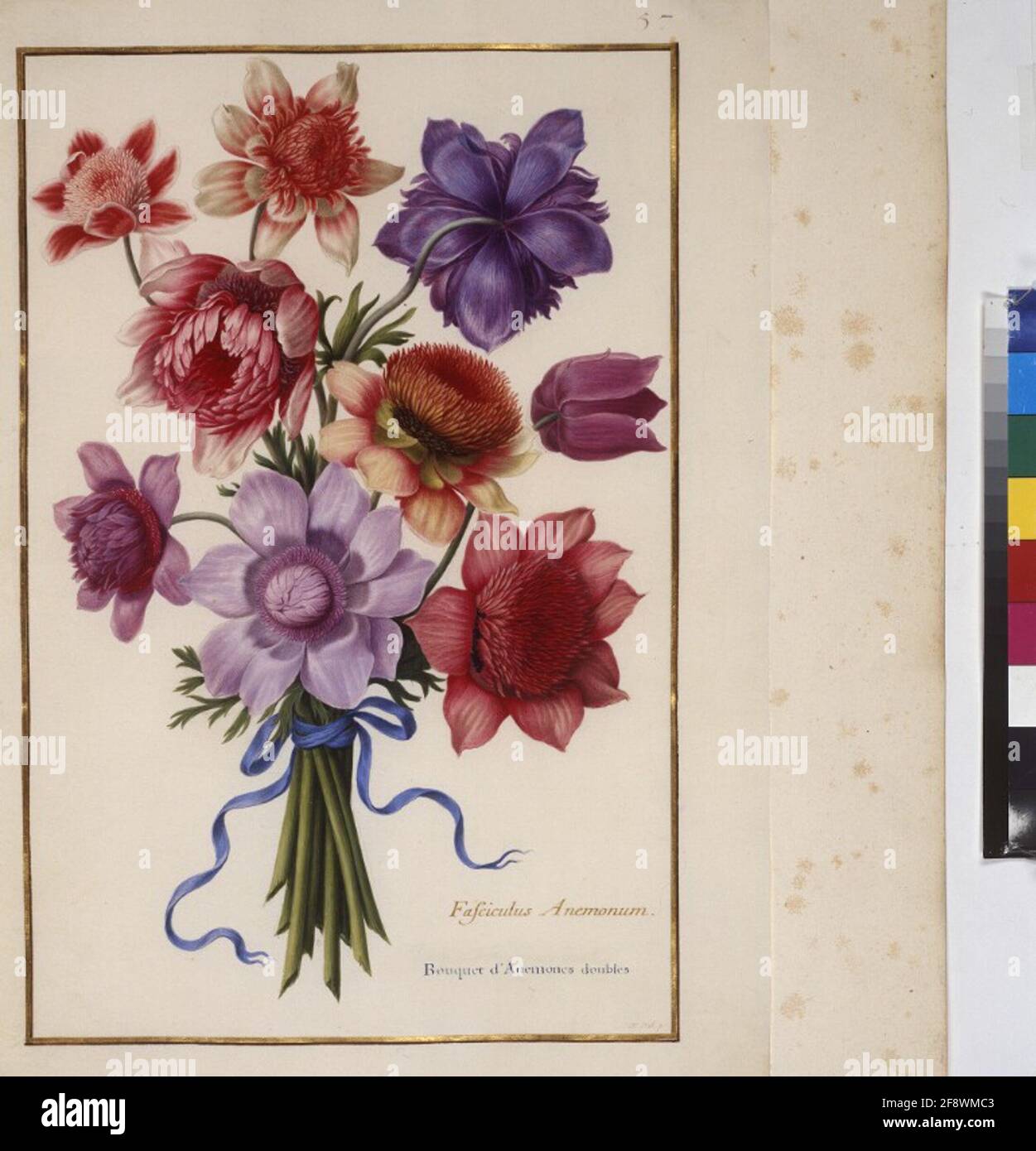 Cod. Min. 53, vol. 2, fol. 57: Florilegium of Prince Eugene of Savoy ...