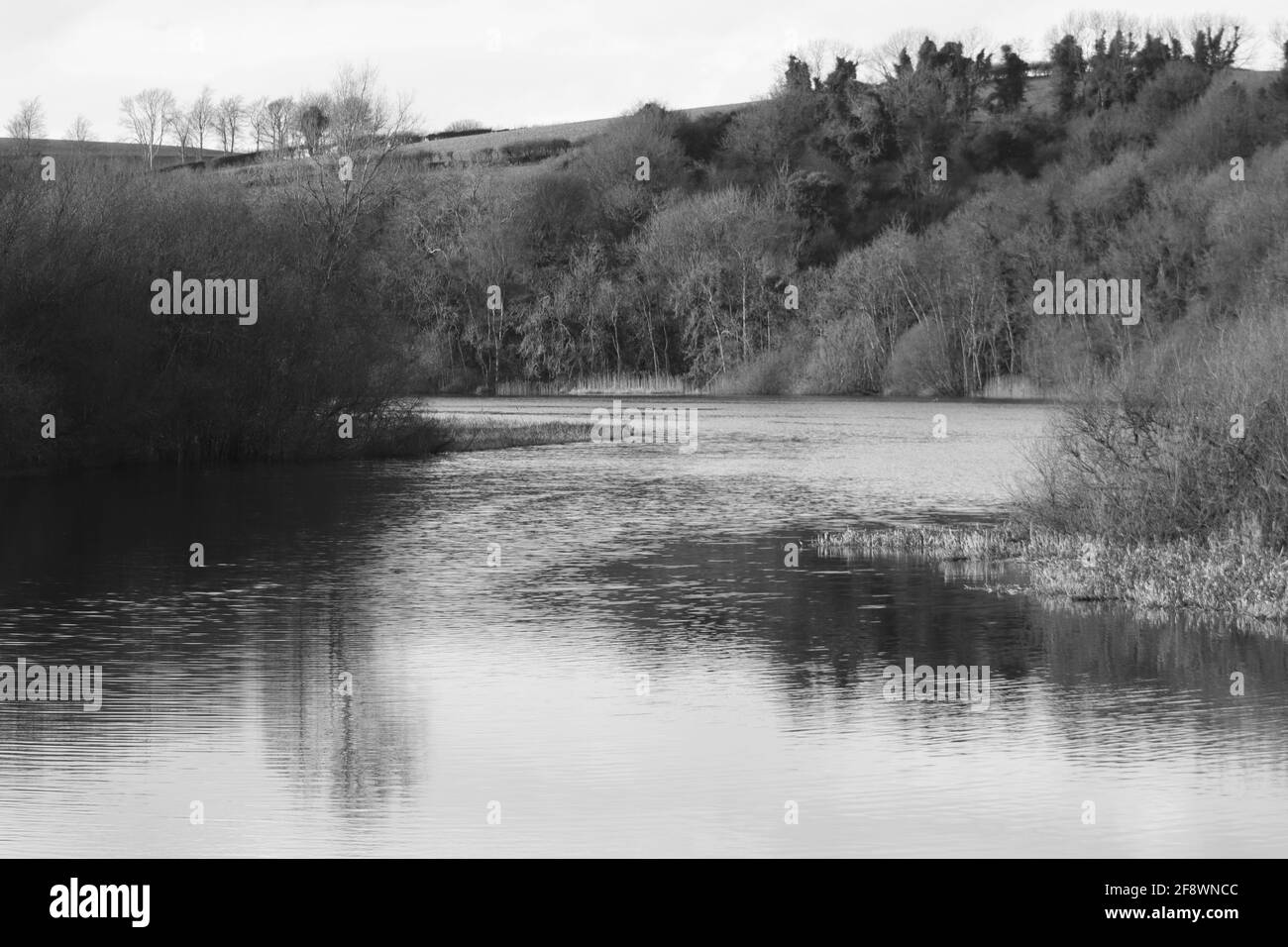 County down countryside Black and White Stock Photos & Images - Alamy