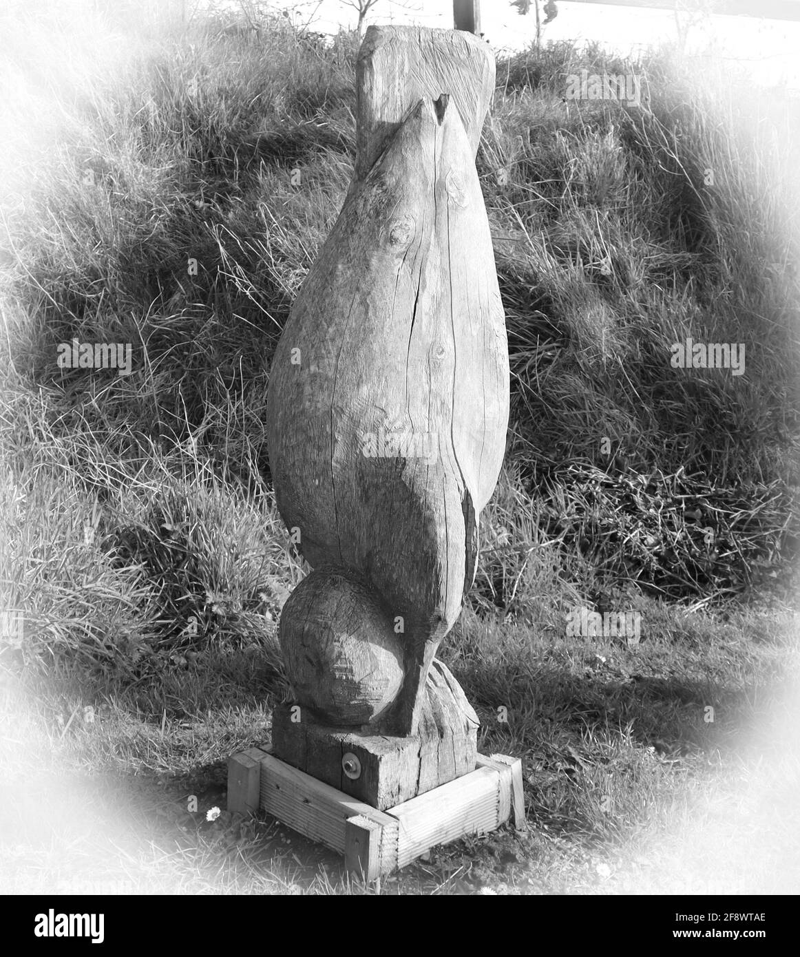 County down countryside Black and White Stock Photos & Images - Alamy