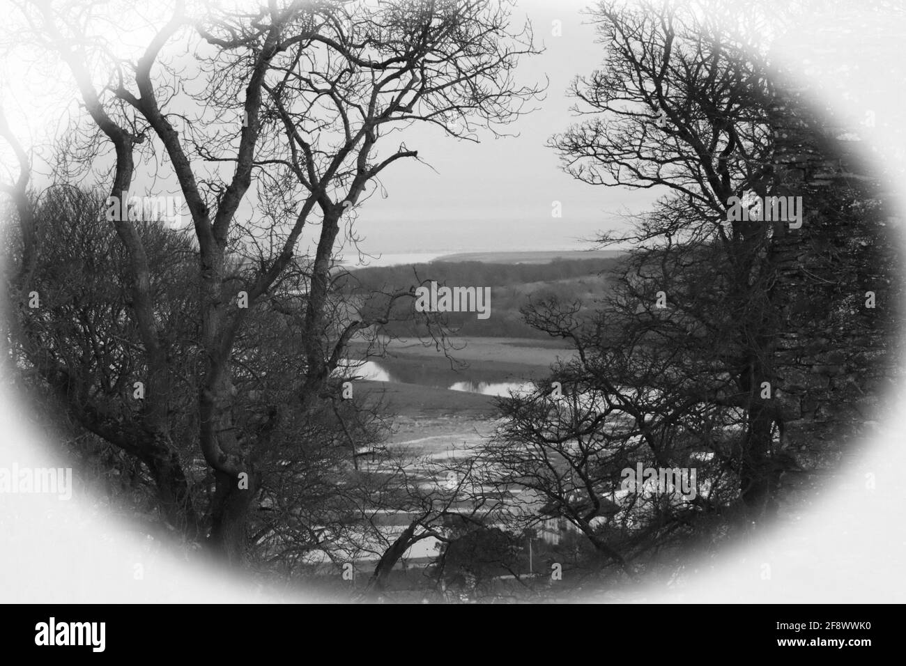 County down countryside Black and White Stock Photos & Images - Alamy