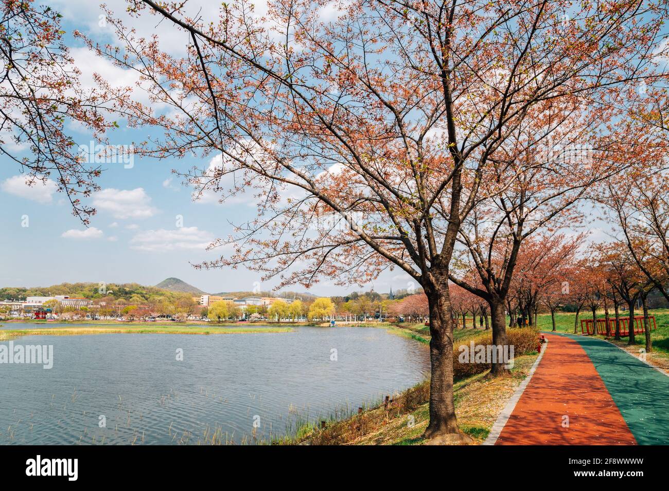 Hwarang Recreation Area park at spring in Ansan, Korea Stock Photo - Alamy