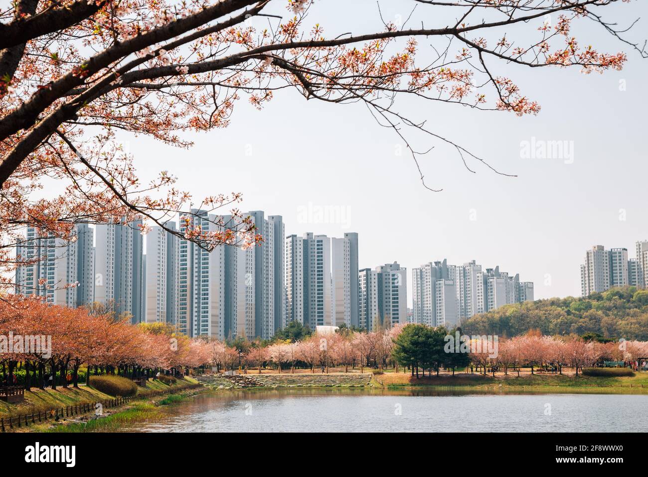 Hwarang Recreation Area park and modern apartment buildings at spring ...