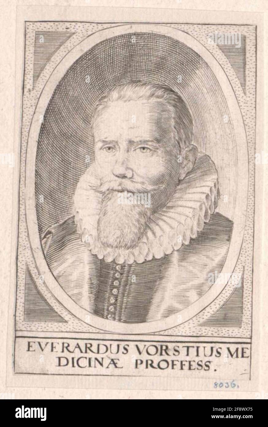 Vorstius Ælius Everard Stock Photo - Alamy