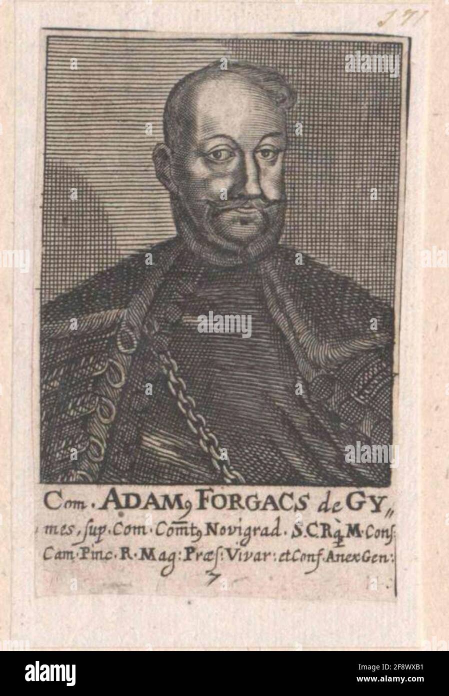 Forgách von Ghymes und Gács, Adam Graf Vergerer: Fürst, Paulstecher ...