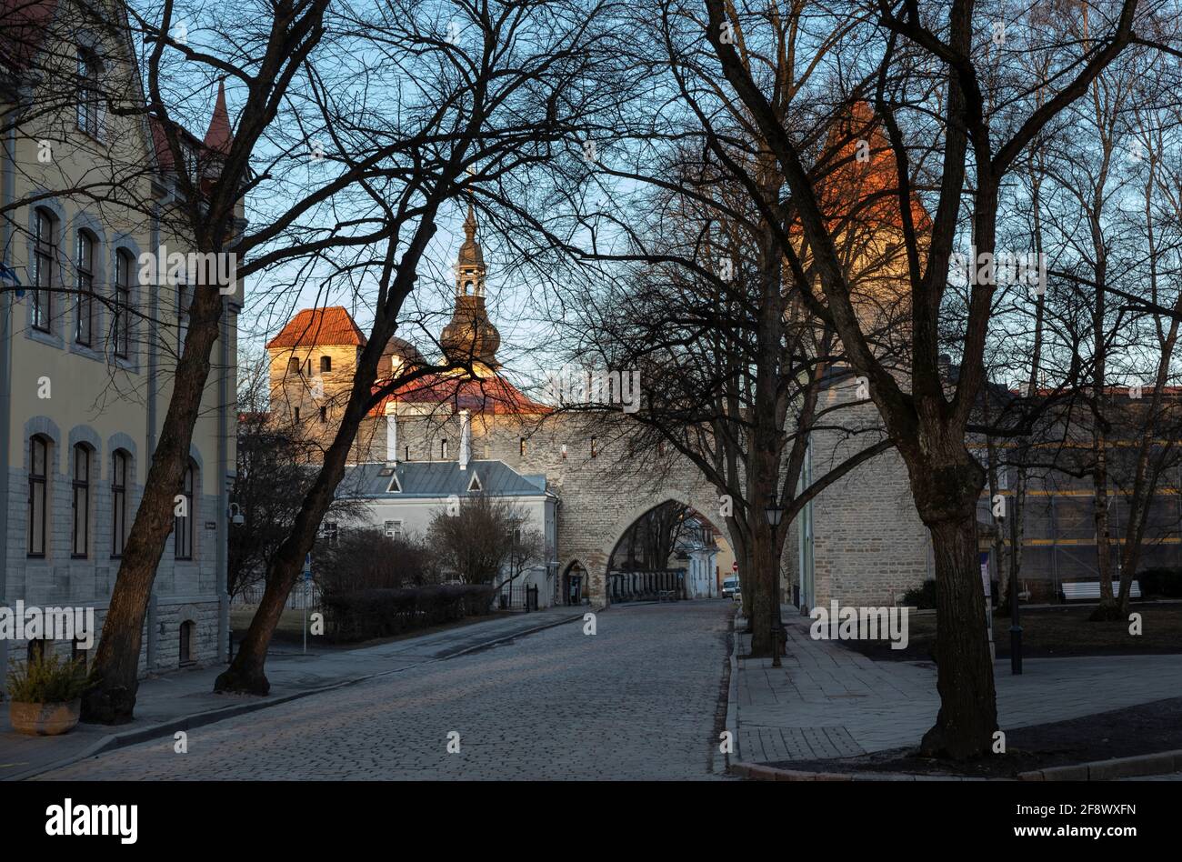 Tallinn, Estonia, 24th March 2021: beautiful medieval buildings of ...