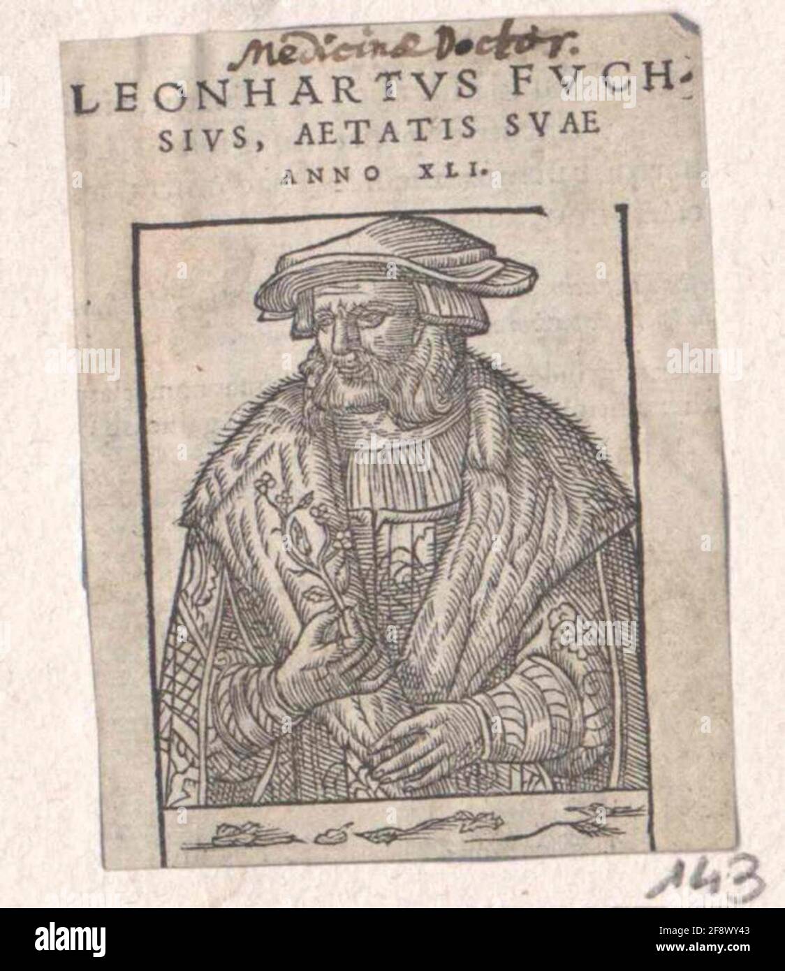 Leonhard fuchs hi-res stock photography and images - Alamy