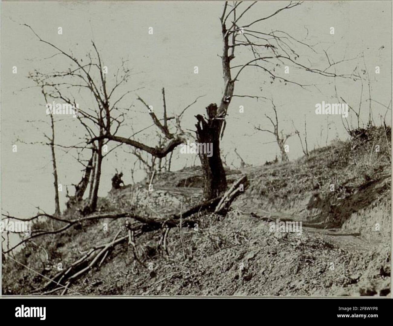 Podgora north section hi-res stock photography and images - Alamy