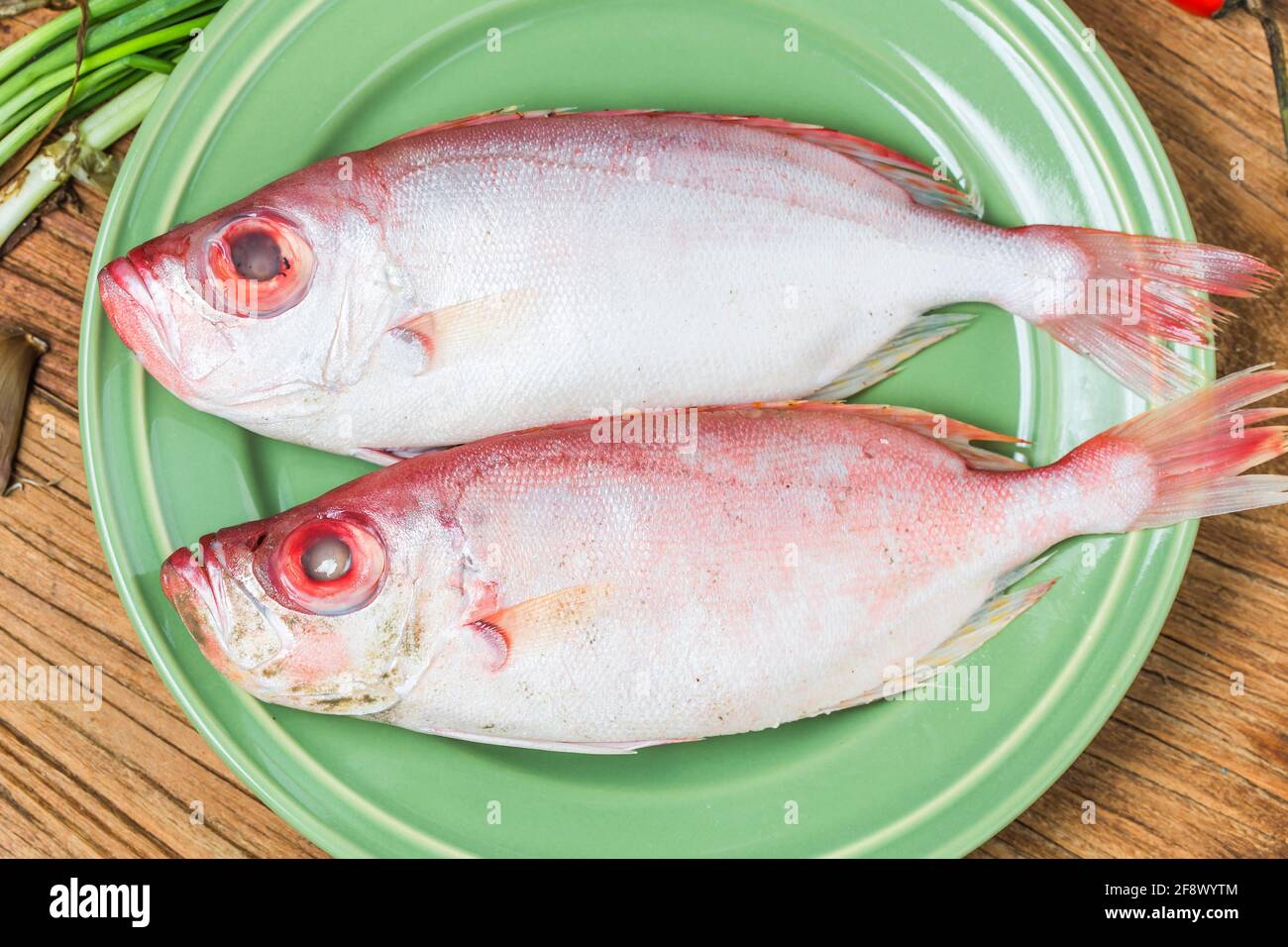 Red bigeye fish Stock Photo - Alamy