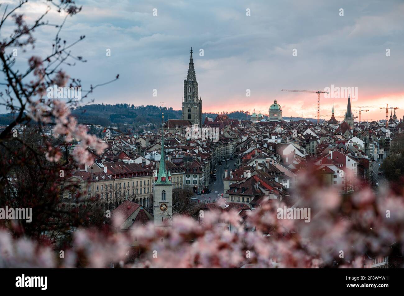 fantastic sunset during cherry blossom with the oldtown of Bern ...