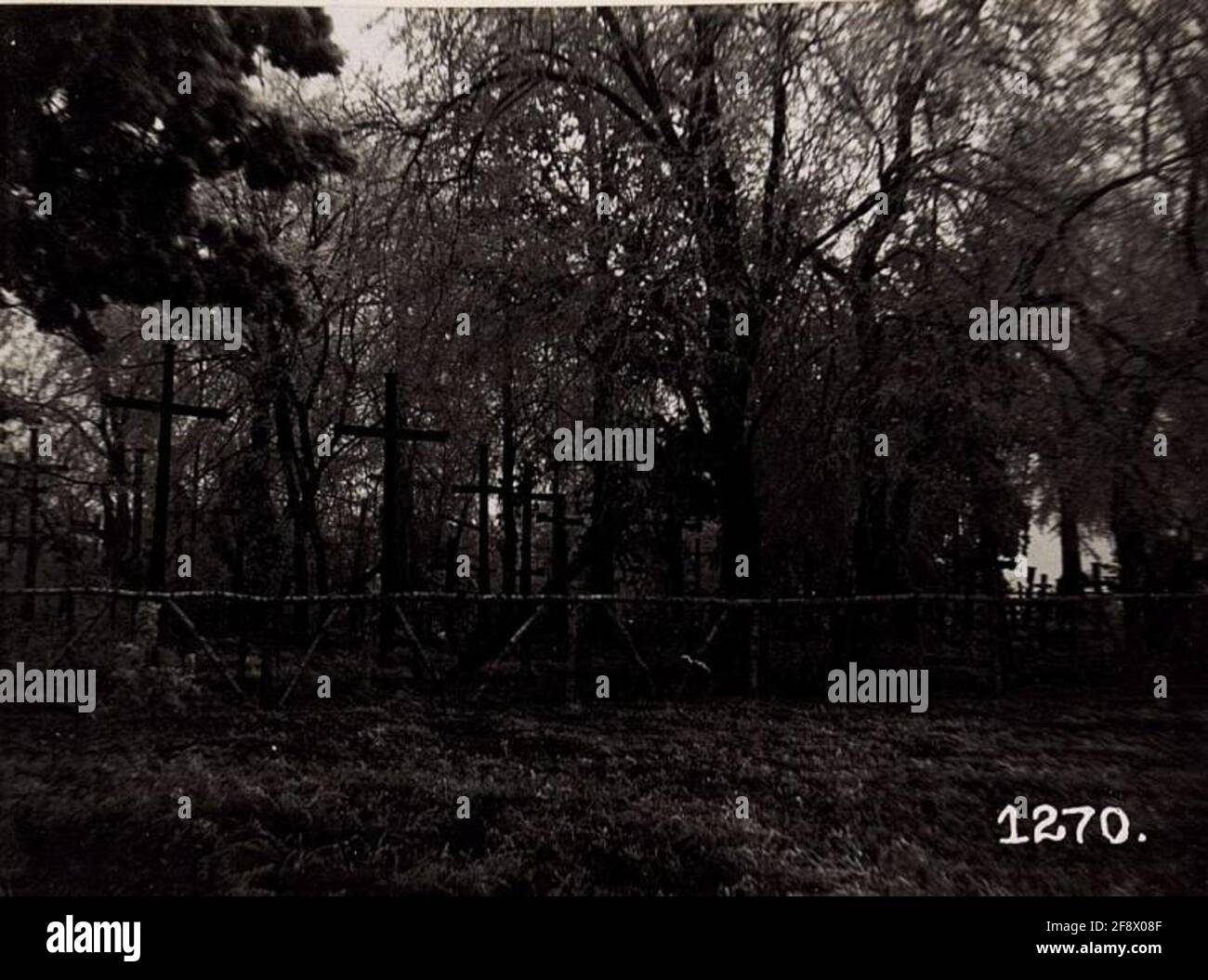 Rokitnica: Russian cemetery. (28 / I.1918 Stock Photo - Alamy
