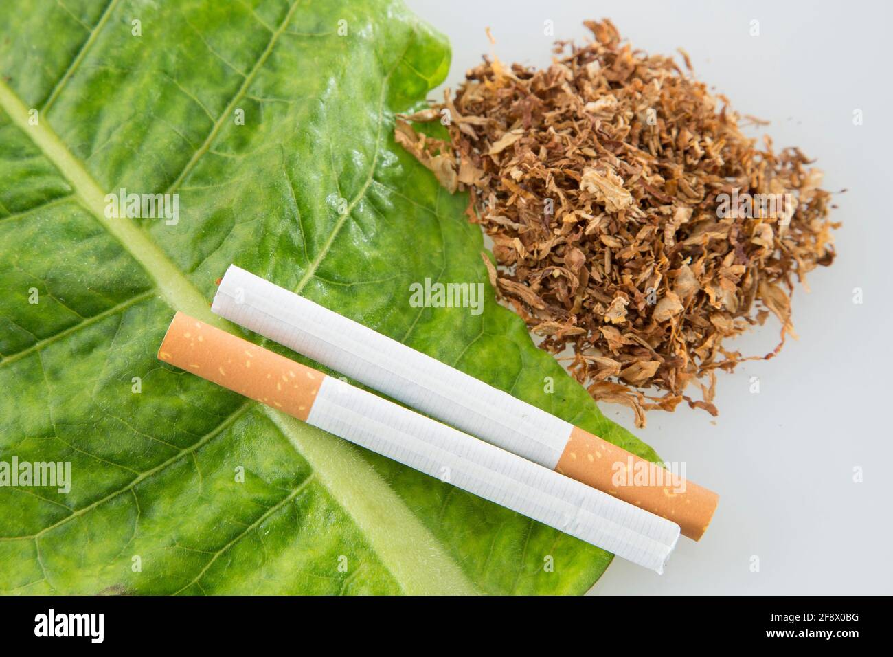 Tobacco leaf - Nicotiana tabacum. Top view Stock Photo - Alamy