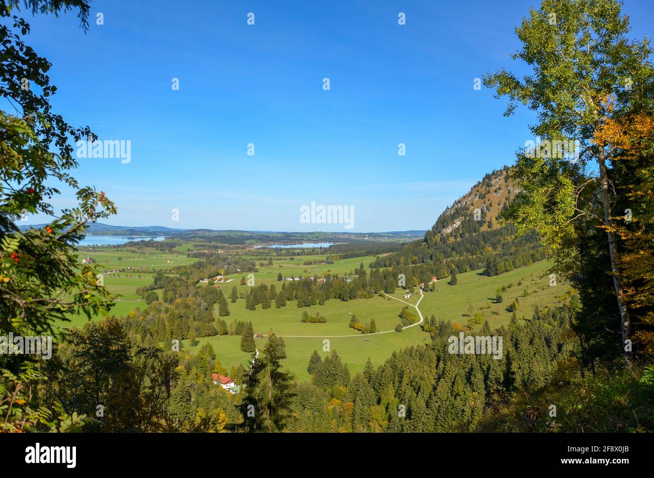 Neuschwanstein castle panoramic view hi-res stock photography and ...