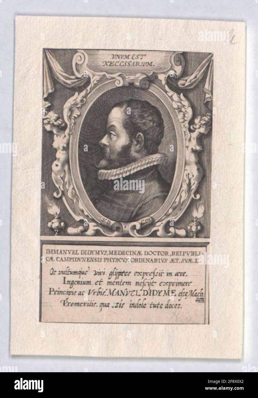 Didymus hi-res stock photography and images - Alamy