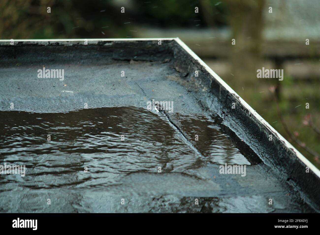 Light rain on a black flat roof with a small leak Stock Photo - Alamy