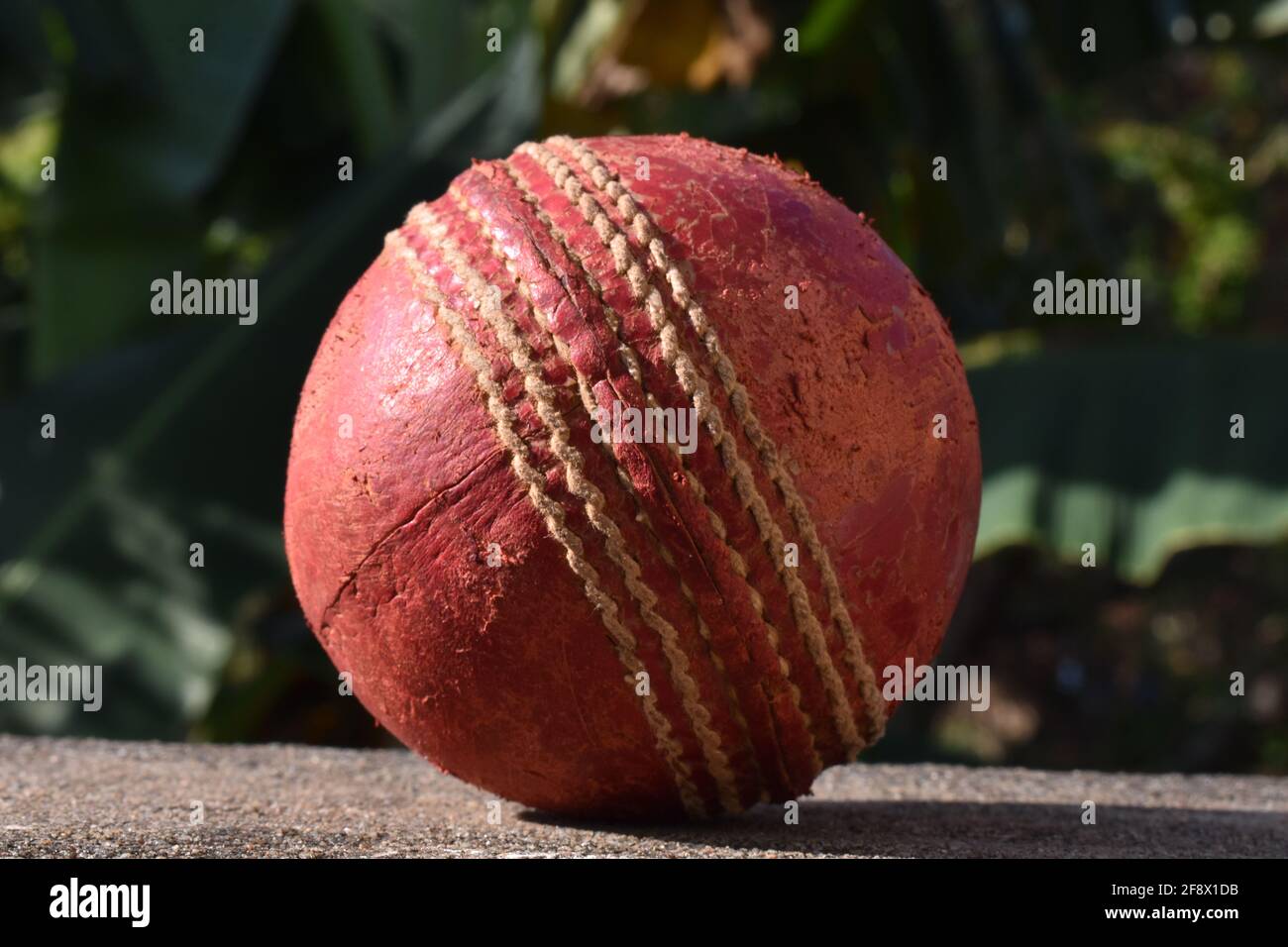 Red ball game of cricket hi-res stock photography and images - Alamy
