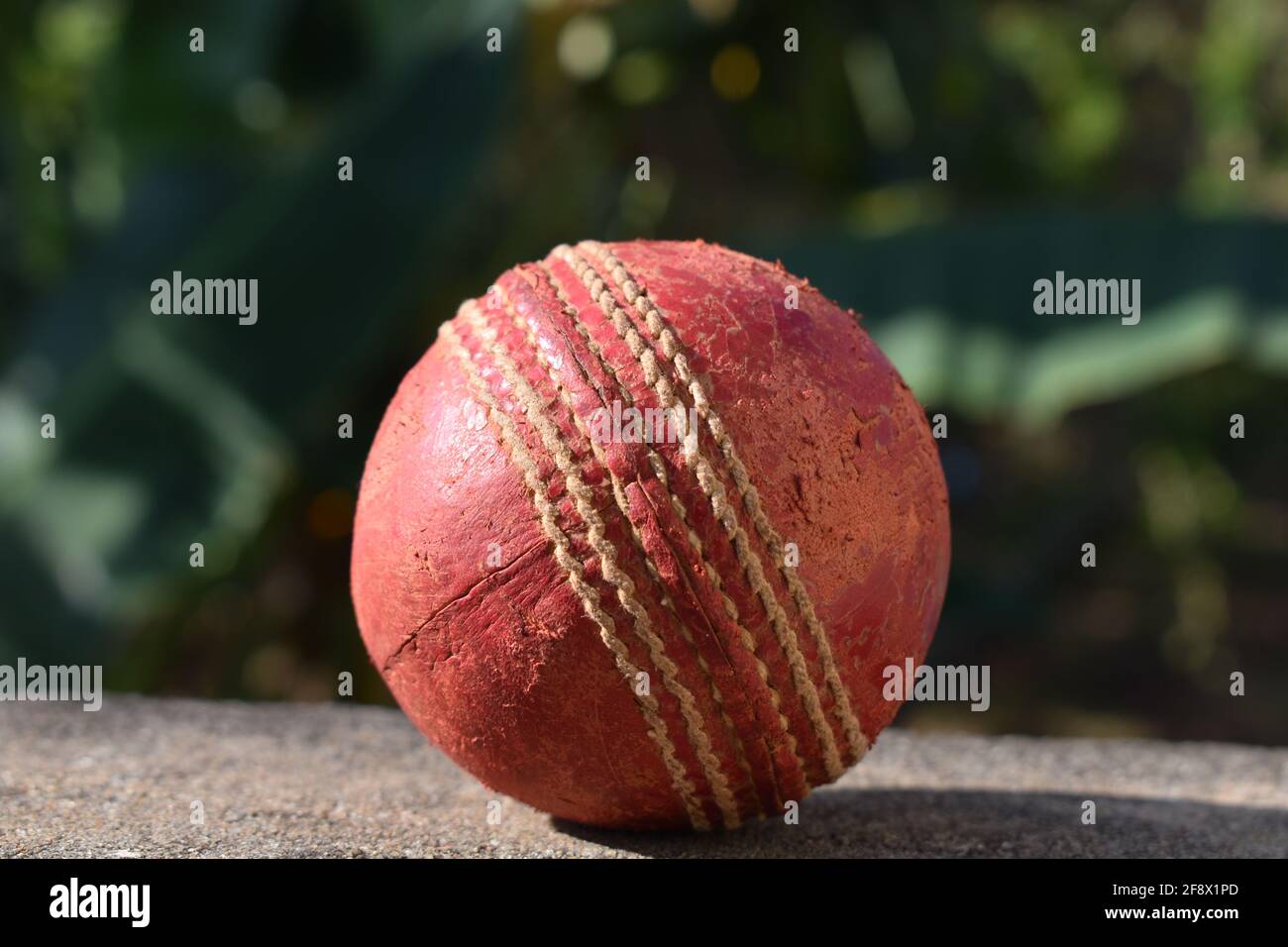 Cricket red white hi-res stock photography and images - Alamy