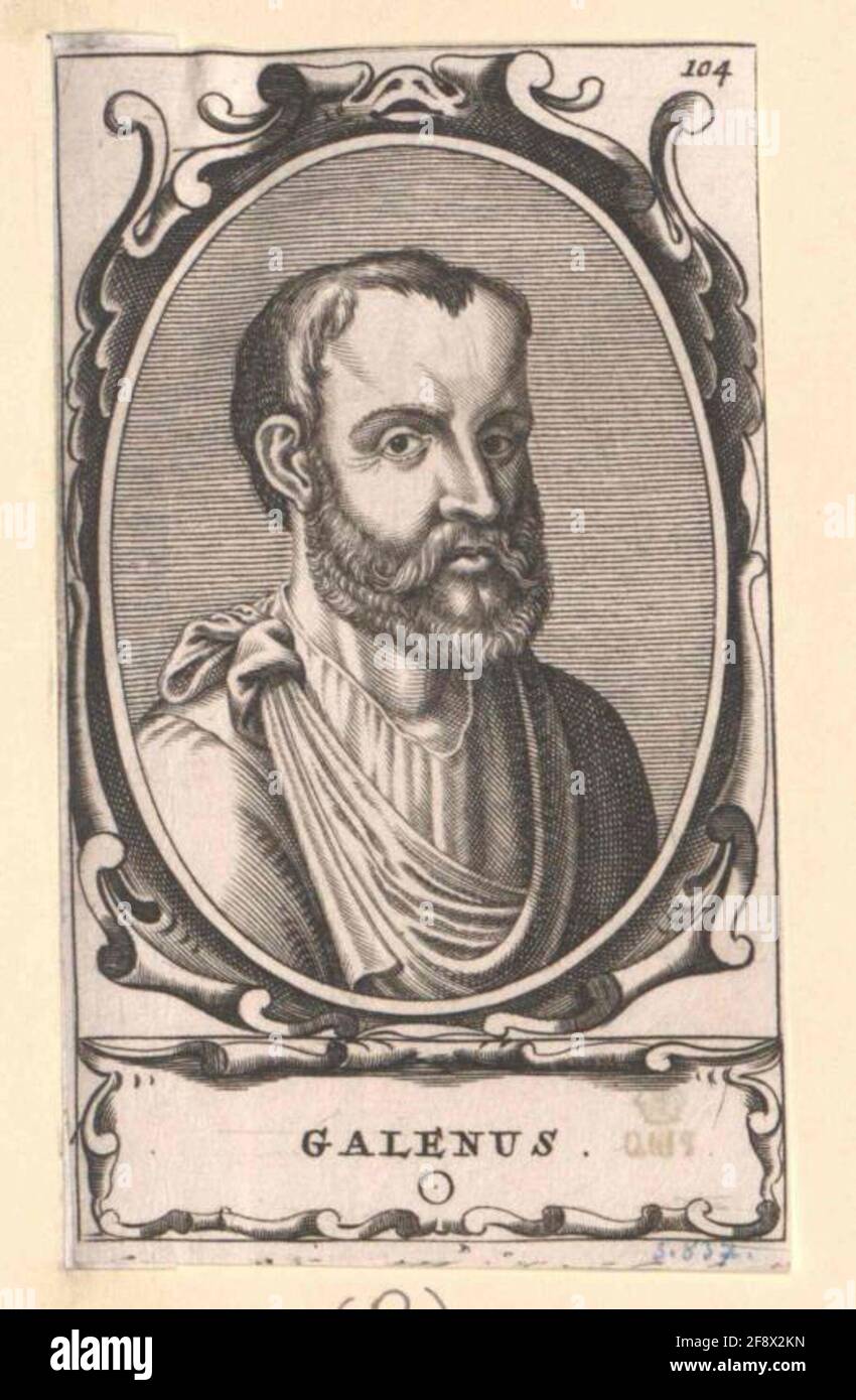 Galen anatomy hi-res stock photography and images - Alamy