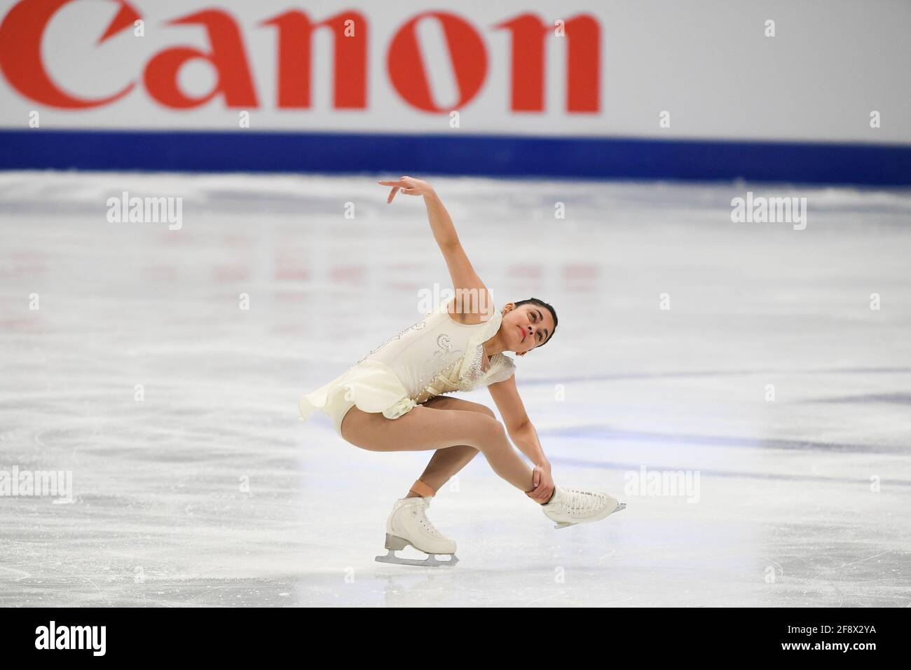 Schizas hi-res stock photography and images - Alamy