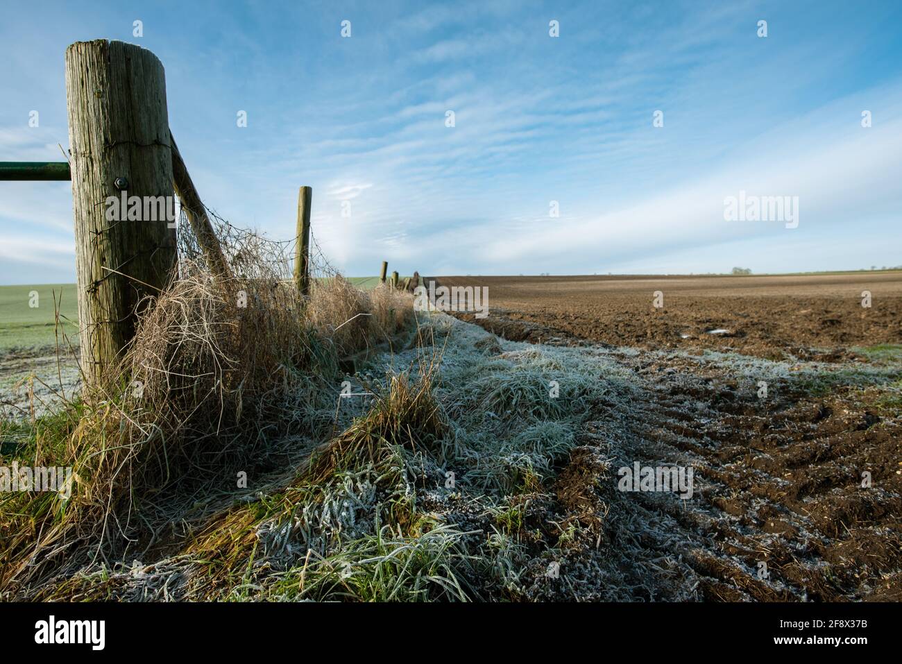 Uk field frost hi-res stock photography and images - Alamy