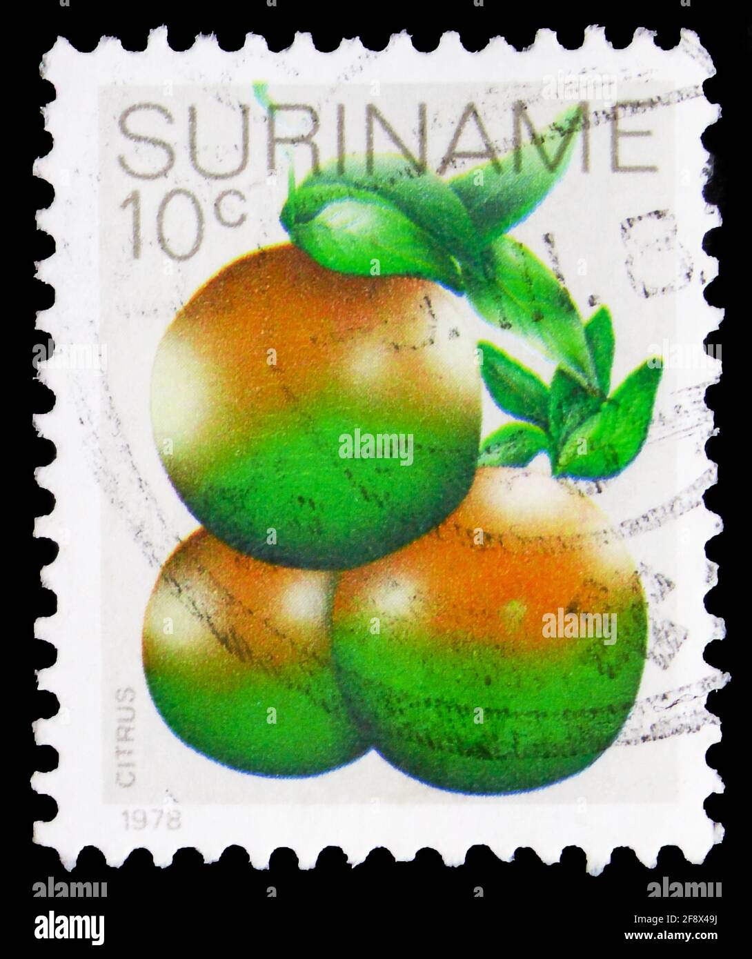 Suriname postage stamp hi-res stock photography and images - Alamy