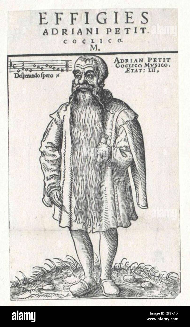 Coclico hi-res stock photography and images - Alamy