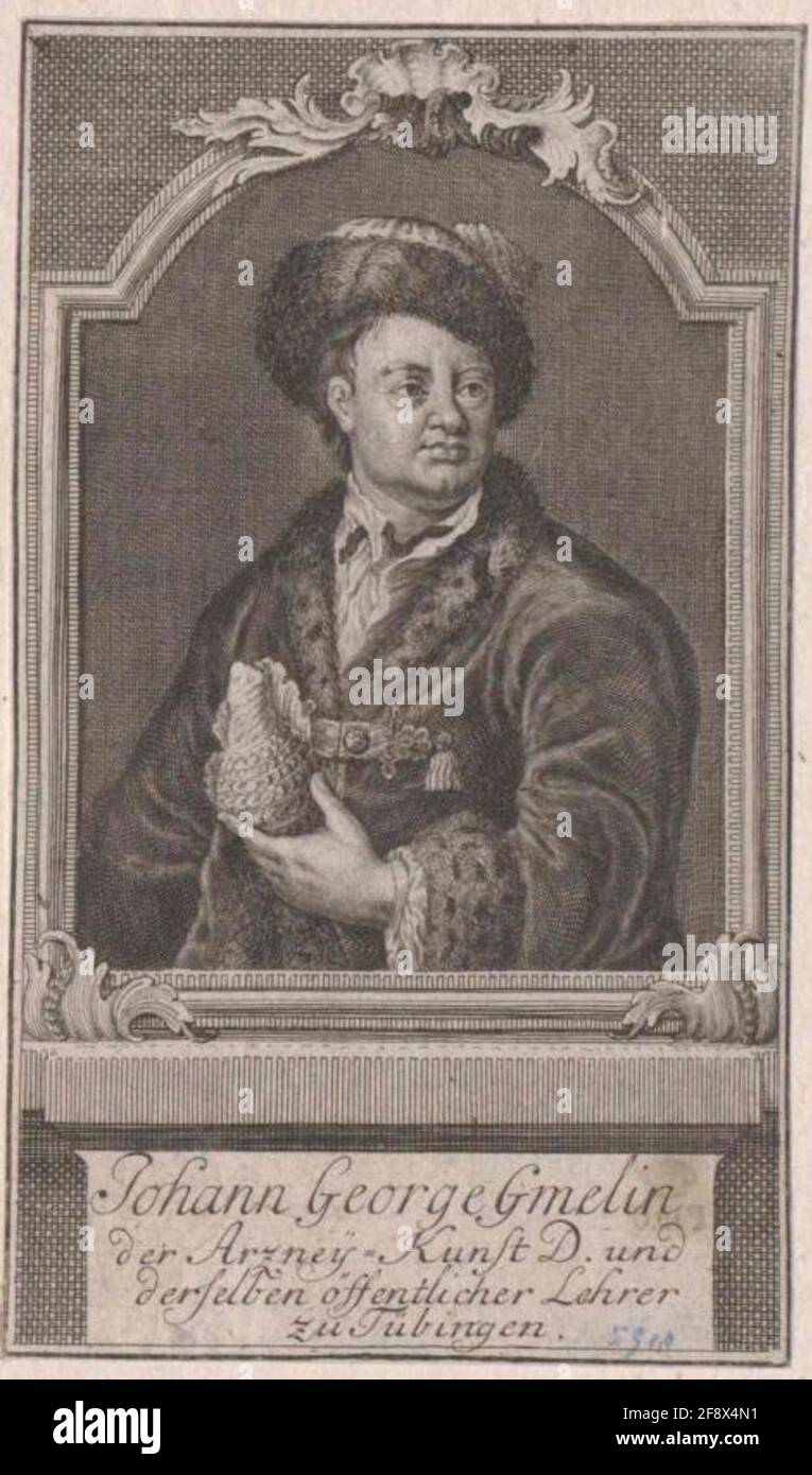 Georg gmelin hi-res stock photography and images - Alamy