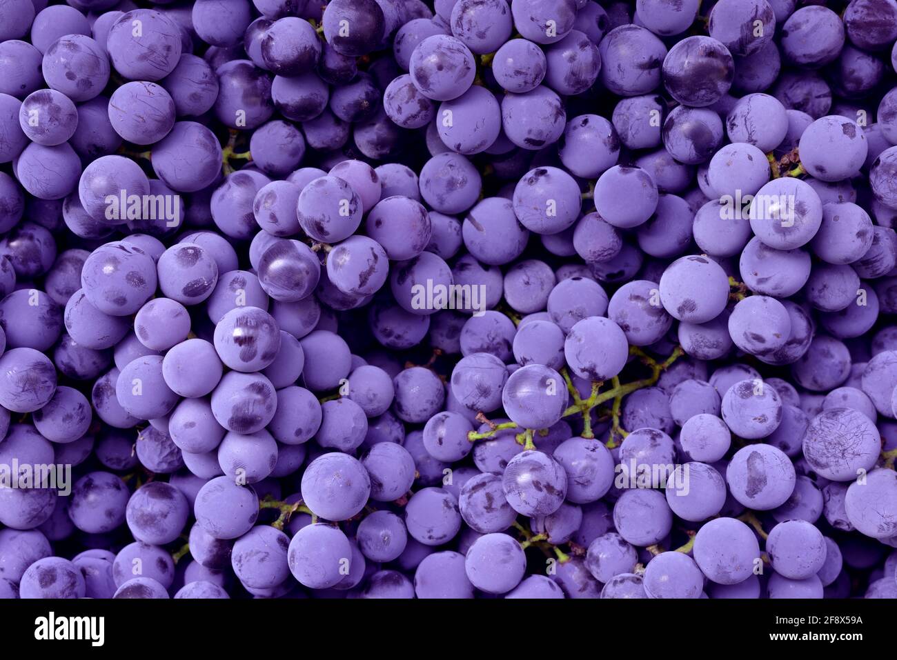 Isabella grape hi-res stock photography and images - Alamy
