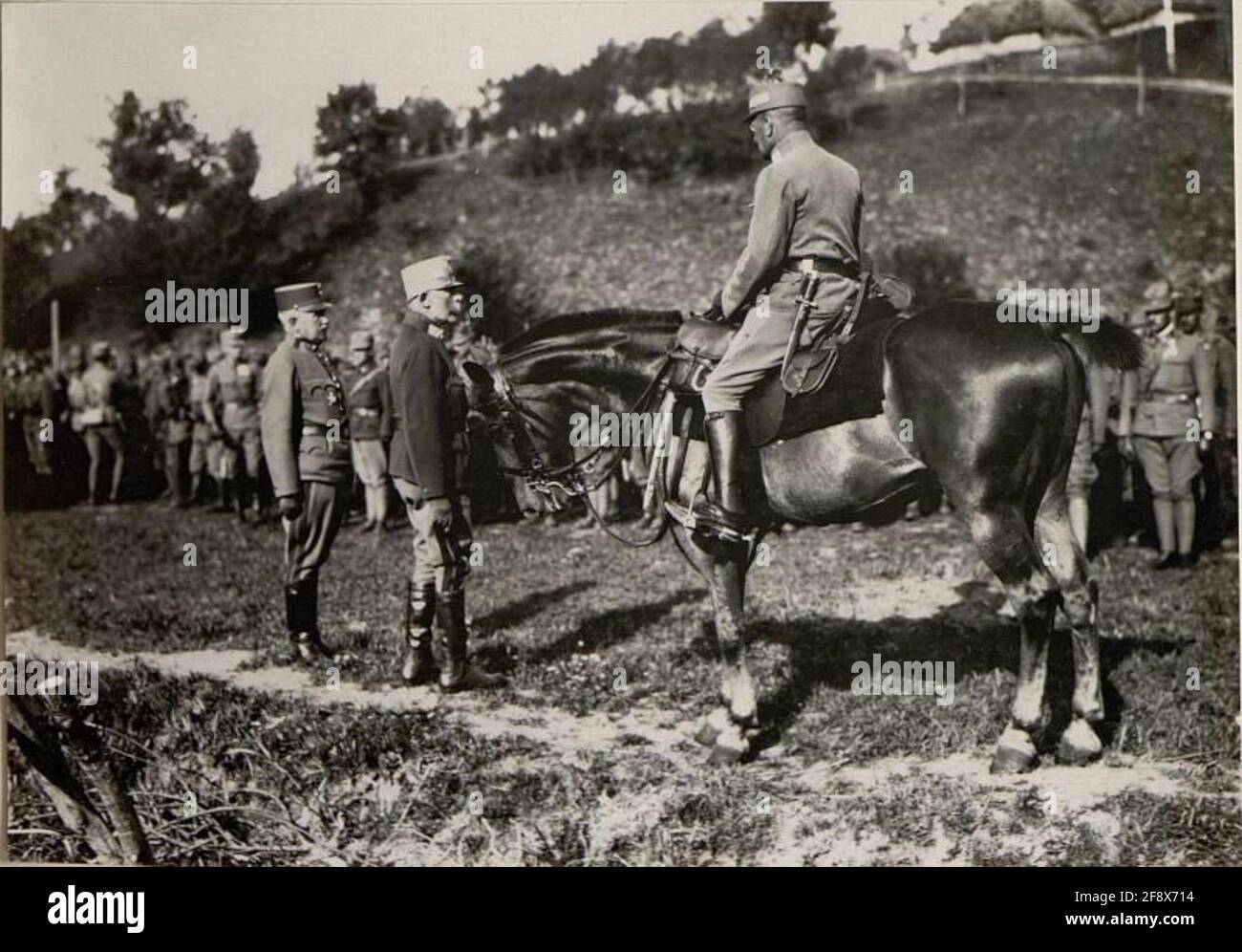 Inspecting by its excellence General of the Infantry Succovaty v. Vezza ...