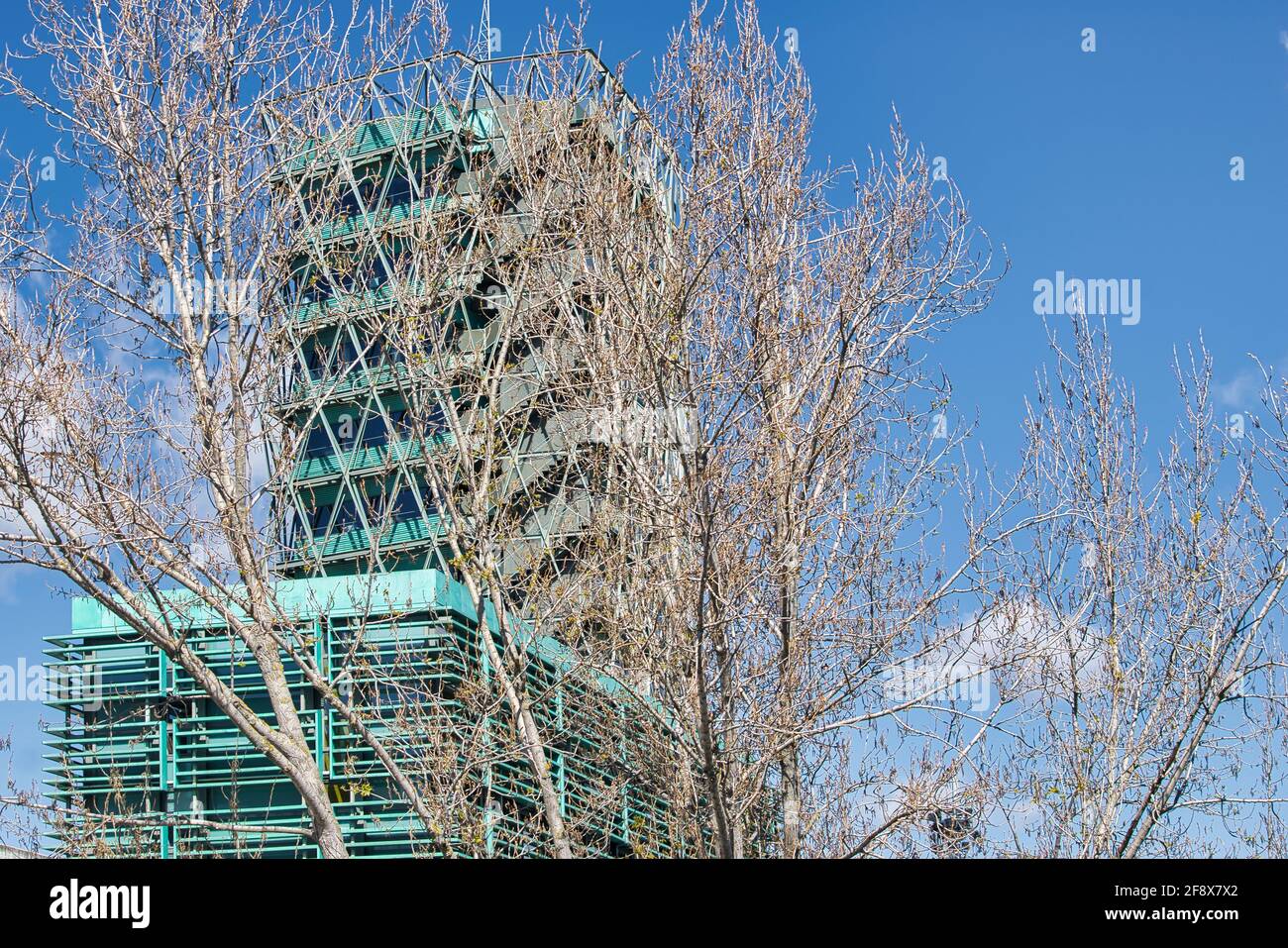 Low-angle shot of branches of a deciduous tree with the avant-garde ...