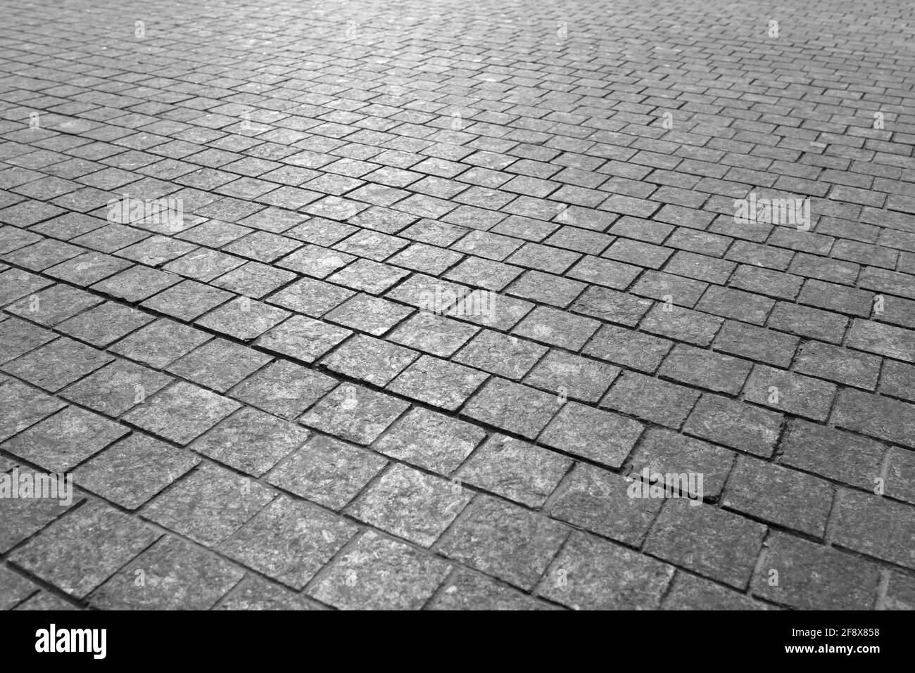Paved Road Texture