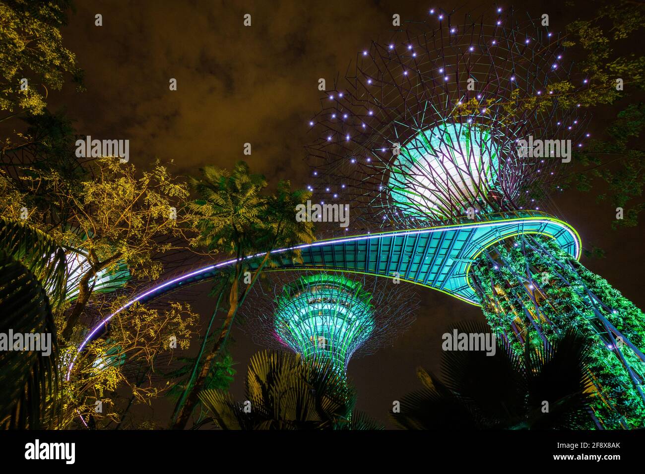 Singapore - January 7, 2014: This is the Supertree Grove. It is a tree ...