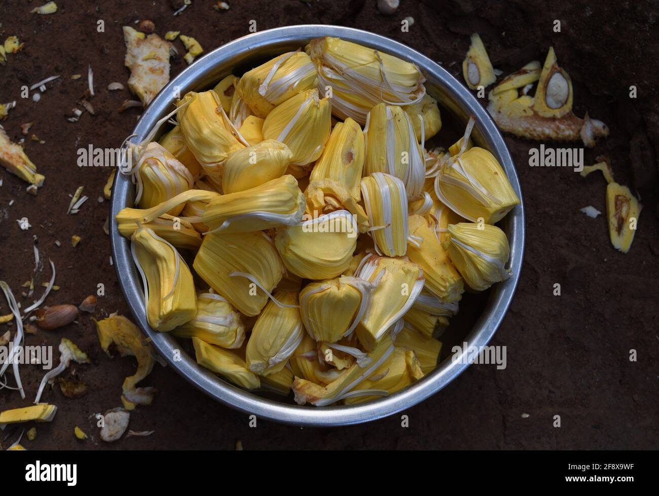 Exotic jack fruits hi-res stock photography and images - Alamy