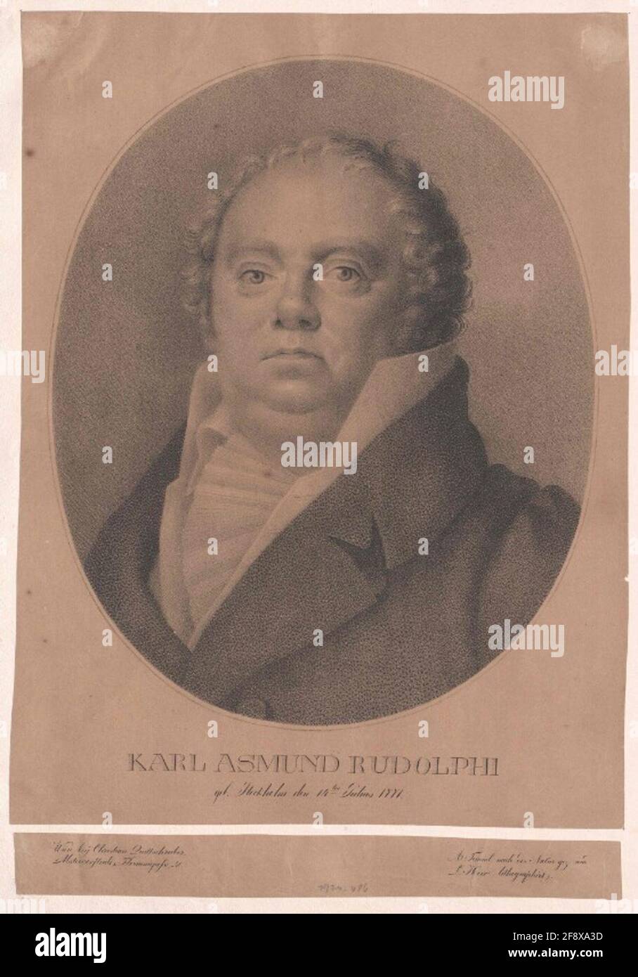 Karl asmund rudolphi hi-res stock photography and images - Alamy