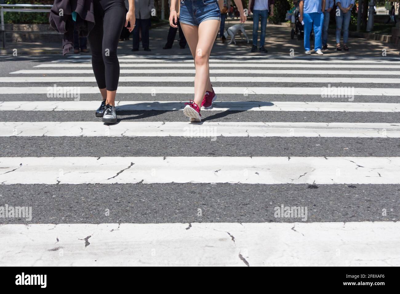 Pedestrian crossing city downtown women walk in motion on road. Many ...