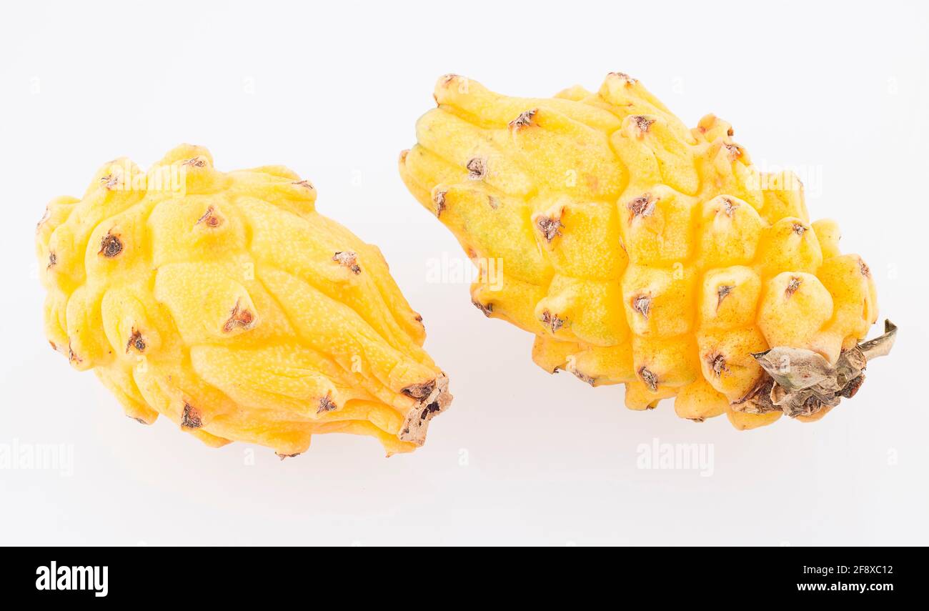 Yellow pitahaya or dragon fruit - Selenicereus megalanthus Stock Photo ...
