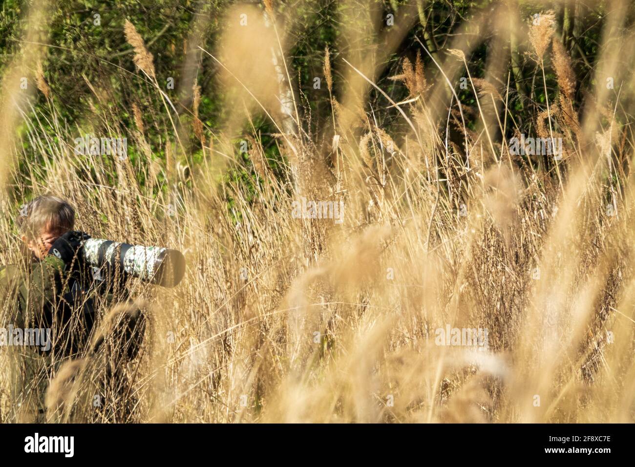 A female photographer with a large telephoto lens on a DSLR camera ...