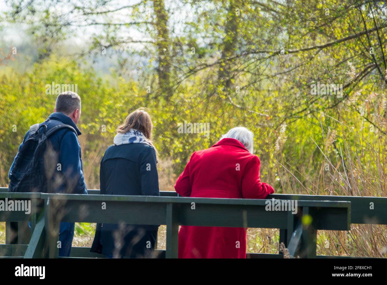 A family visiting WWT London Wetland Centre and enjoying the wildfowl ...