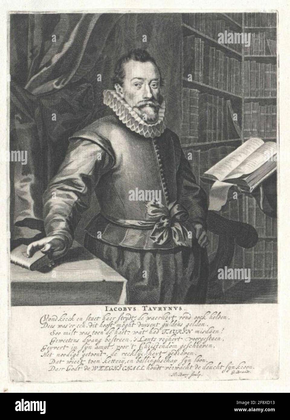 Jacobus taurinus hi-res stock photography and images - Alamy