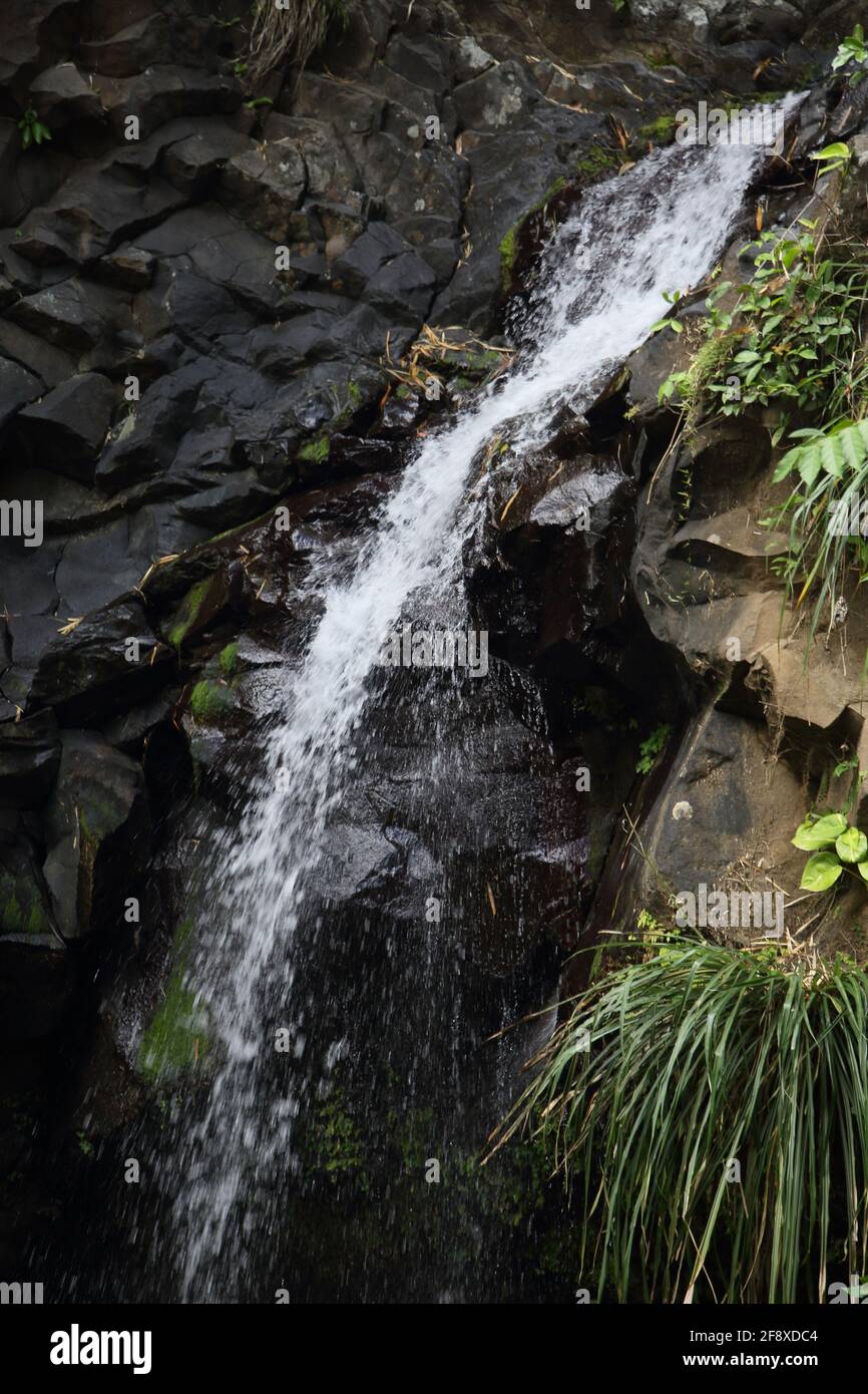 Annandale waterfall hi-res stock photography and images - Alamy