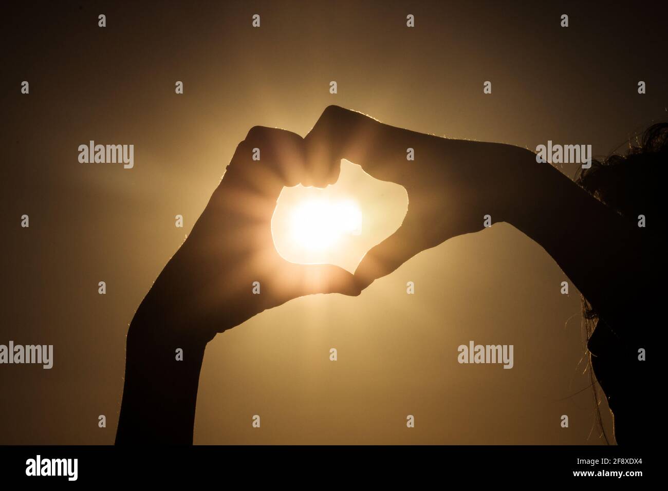 Love symbol with hands back light with sun Stock Photo - Alamy