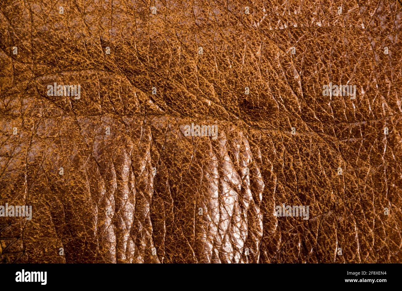 Old vintage genuine soft brown leather texture background, top layer ...