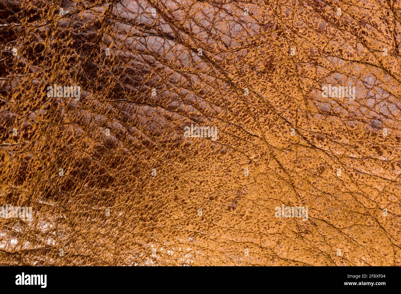 Old vintage genuine soft brown leather texture background, top layer ...