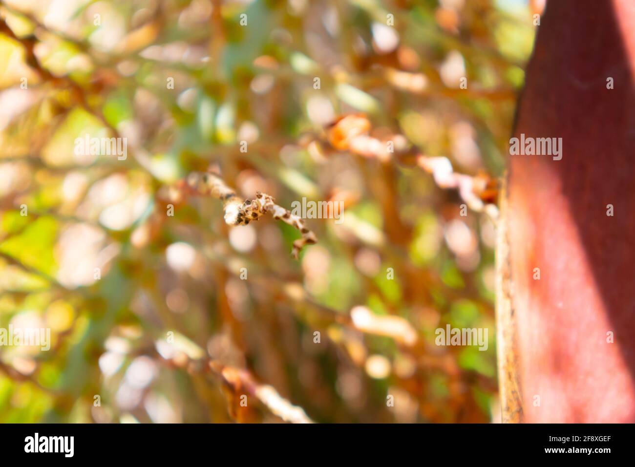 Thick woman face mask hi-res stock photography and images - Alamy