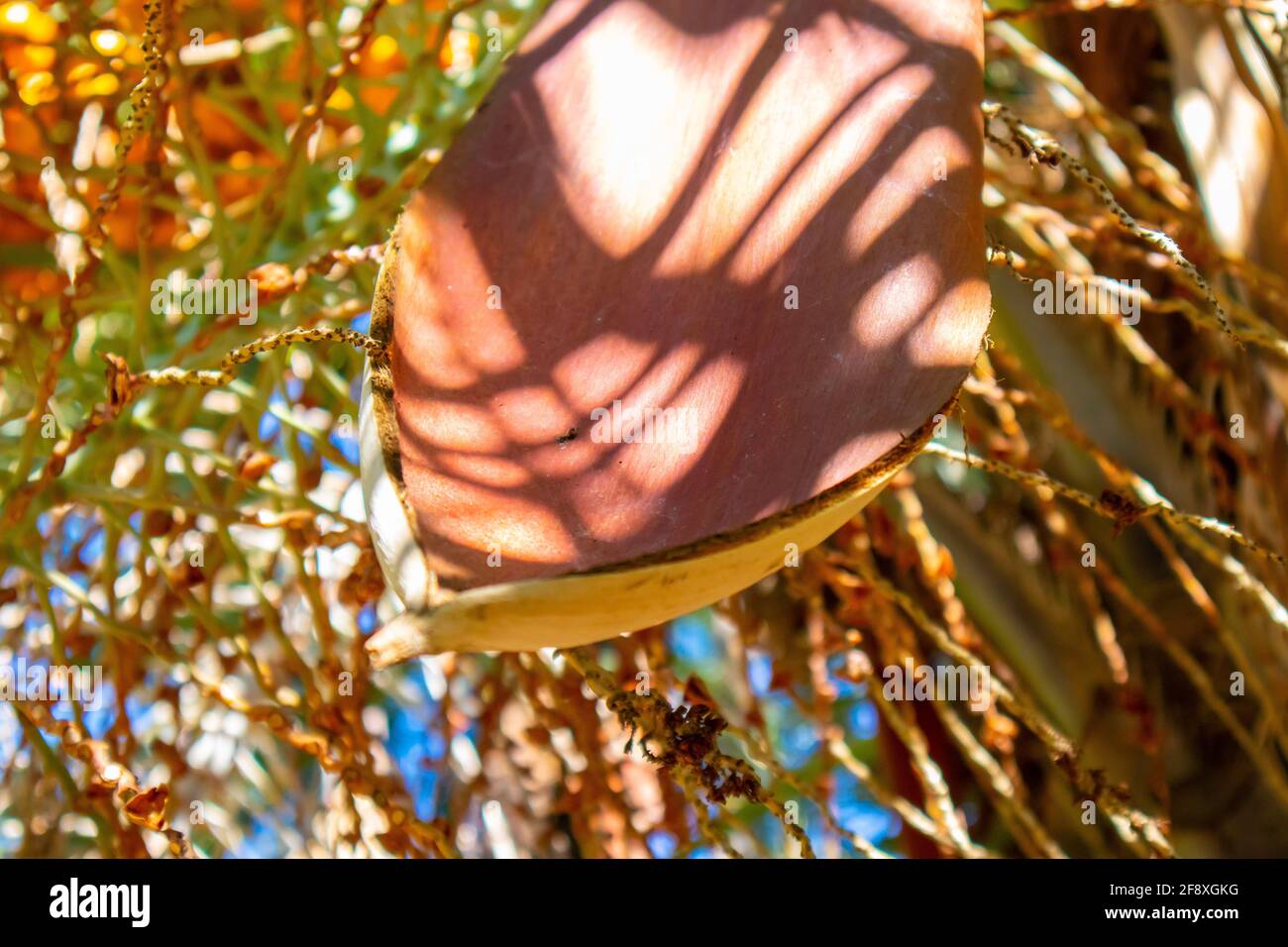 Thick woman face mask hi-res stock photography and images - Alamy