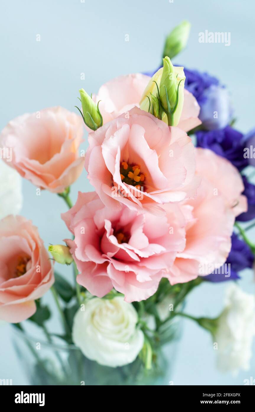 Green Lisianthus Flower