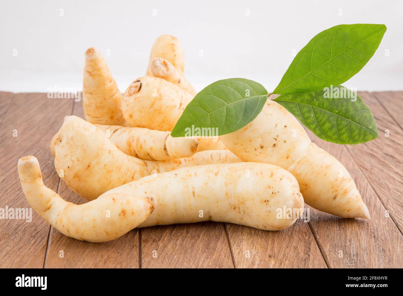 Arracacha - Arracacia xanthorrhiza Stock Photo - Alamy
